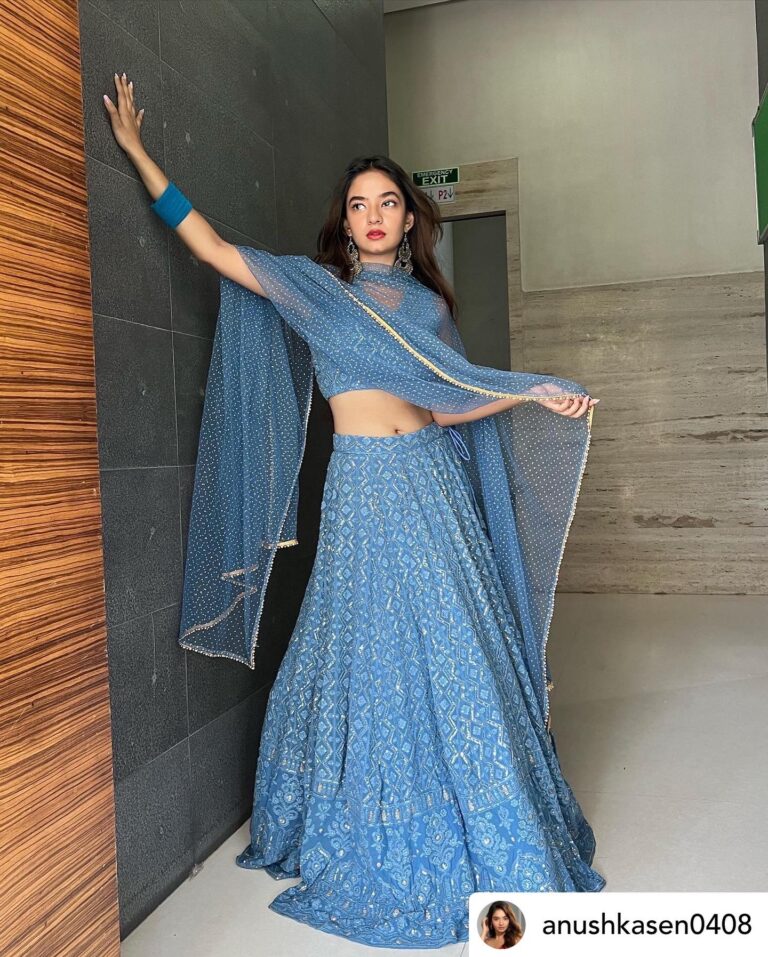 All Sequin Work Lehenga - The Clothing Rack